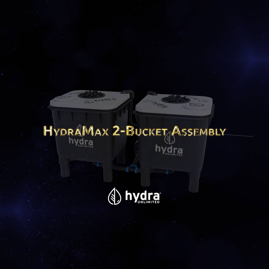 HydraMax Two Bucket Assembly | Deep Water Culture Hydroponics - Hydra ...