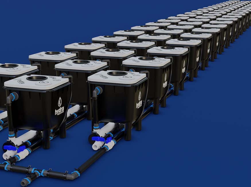 RDWC System - Commercial Hydroponic Systems