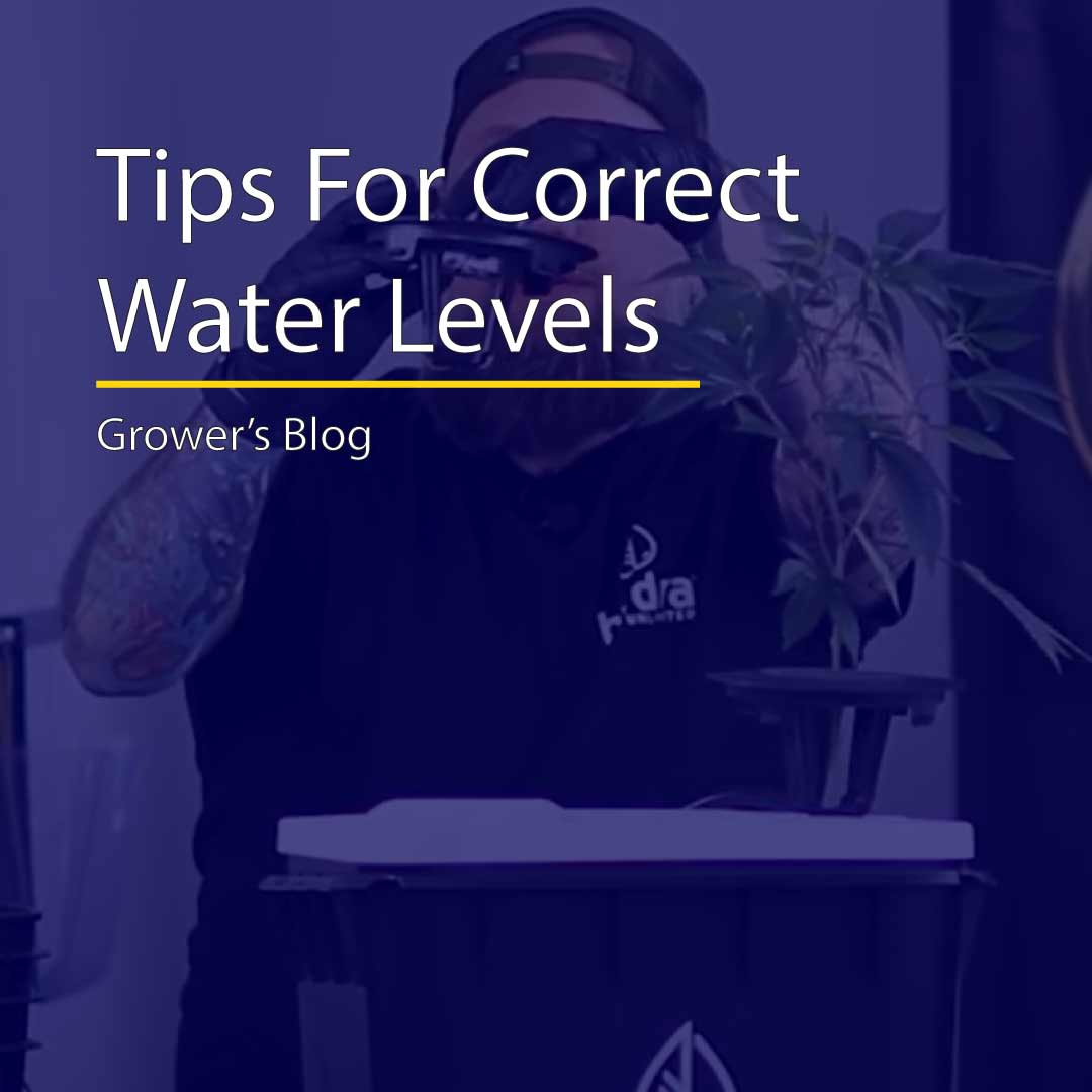 Hydra Unlimited | Tips to Ensure a Correct Water Level in Recirculating ...